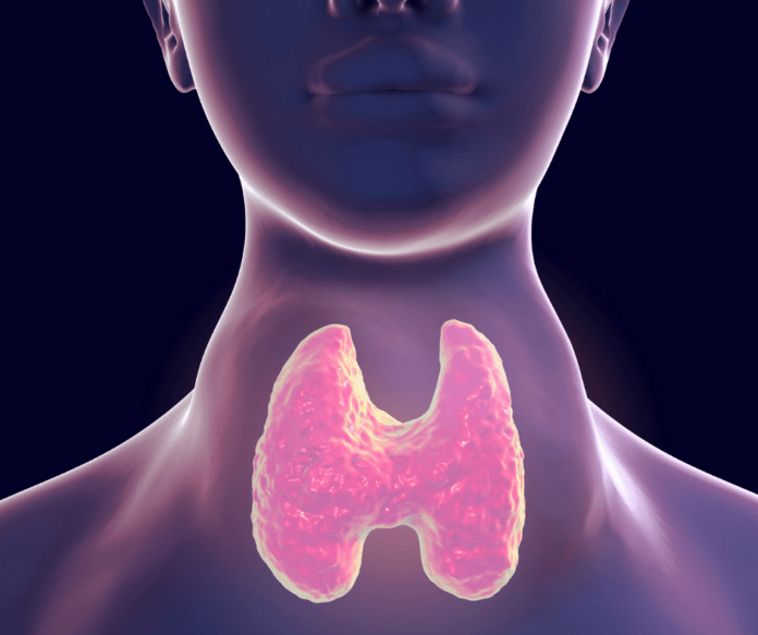 Goitrogeny w Hashimoto, czy musisz je wykluczyć z diety?